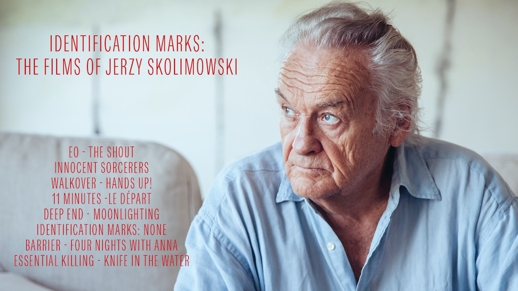 Instytut Polski w Nowym Jorku